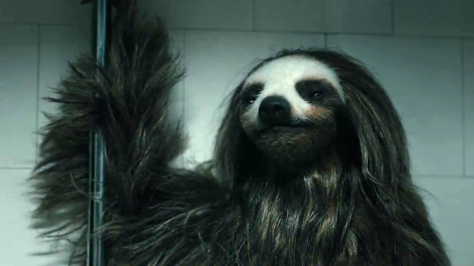 Slotherhouse - Ein Faultier zum Fürchten Trailer - Slotherhouse - Ein ...